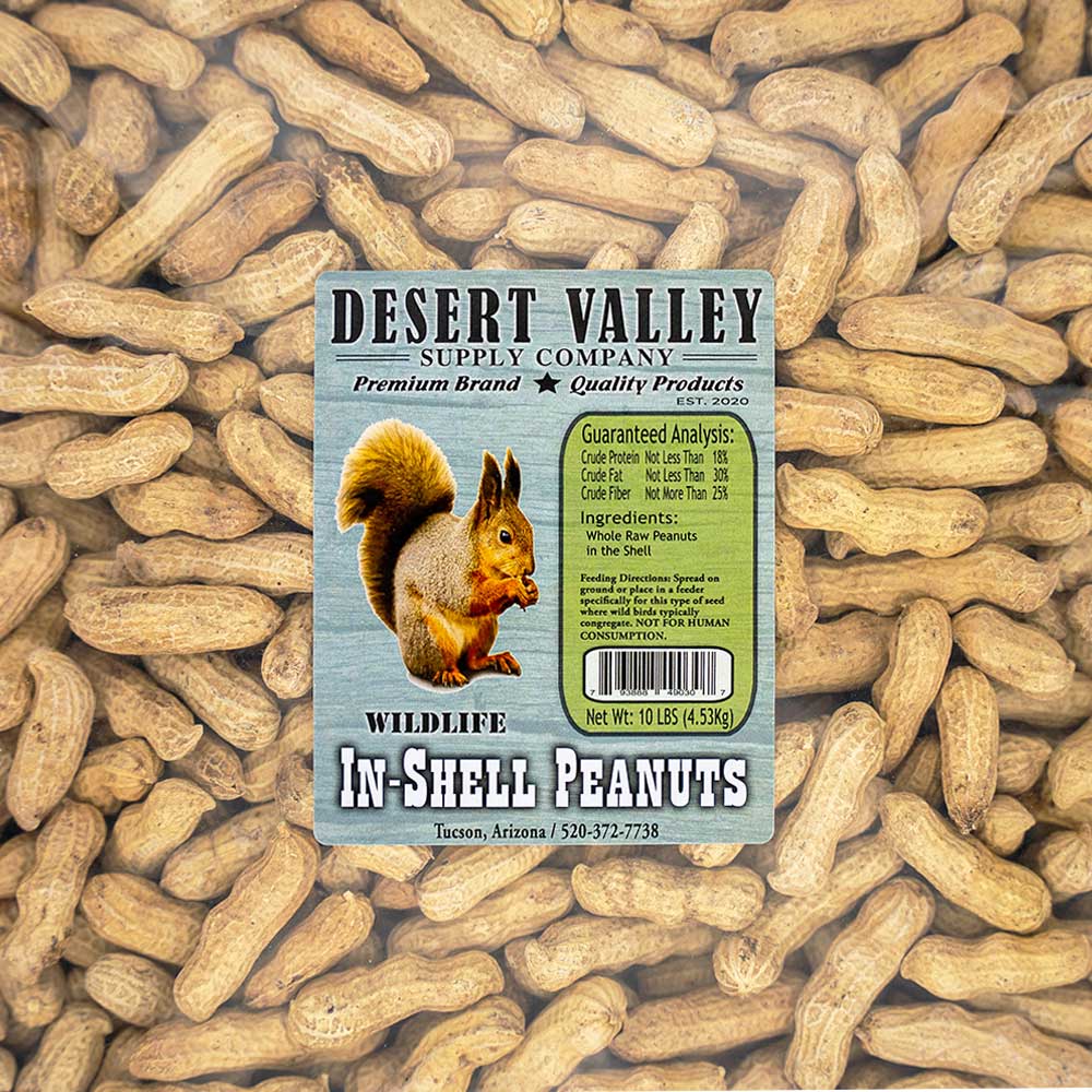 Peanuts for Birds | Attract Blue Jays, Woodpeckers & More