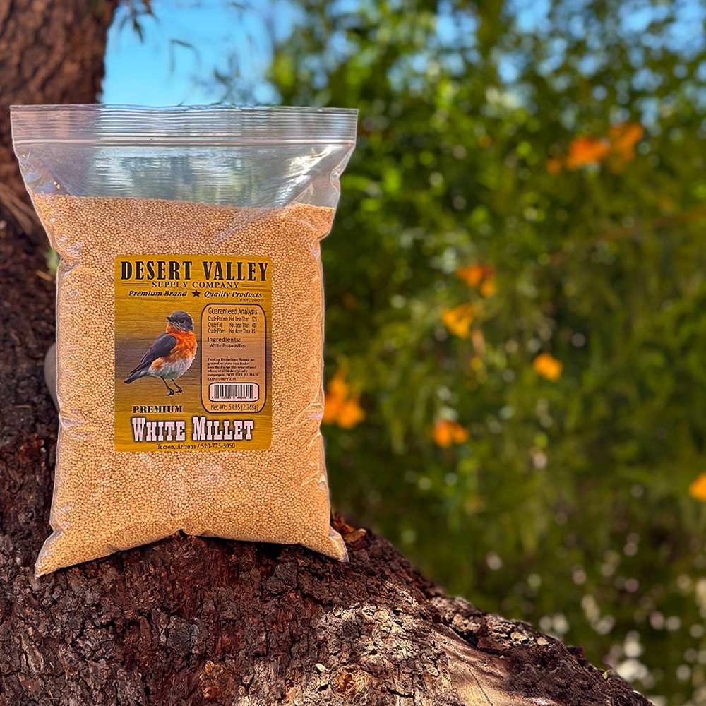White Millet Bird Seed | Perfect for Mixing