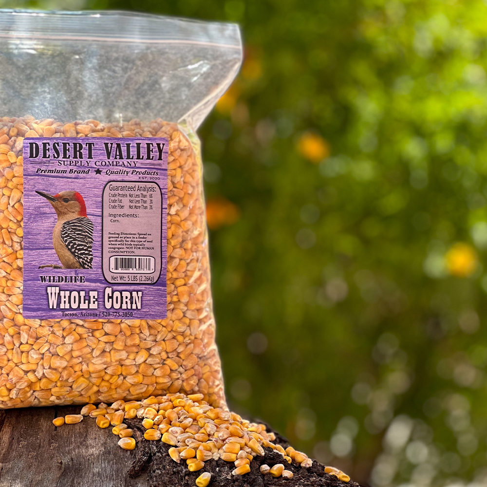 Whole Corn Feed for Birds & Wildlife | The Bird Seed Store