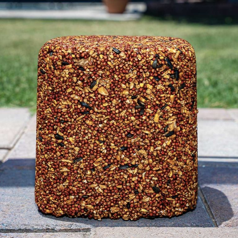 Quail Seed Block | Attract Quail & Doves | Bird Seed Store