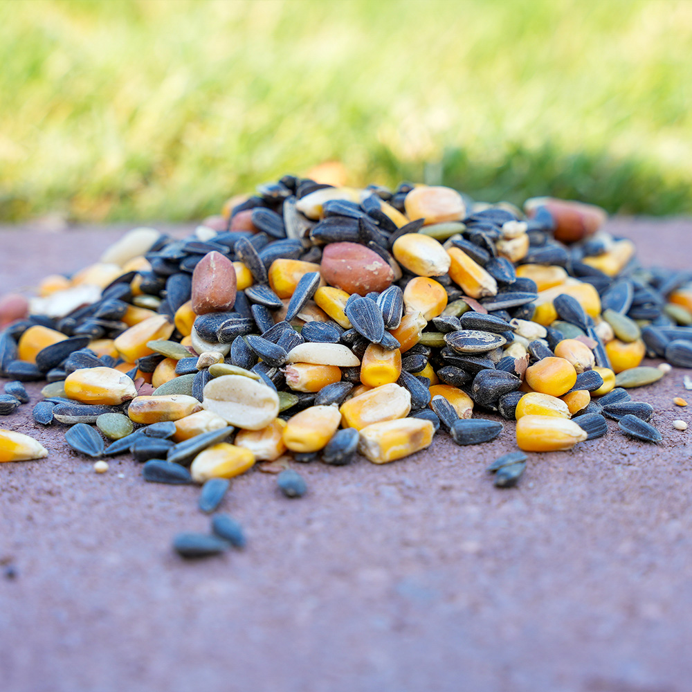 Squirrel Food Critter Blend For Squirrels, Chipmunks & More